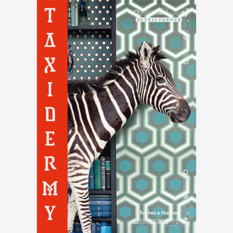The Taxidermy Book | London Taxidermy